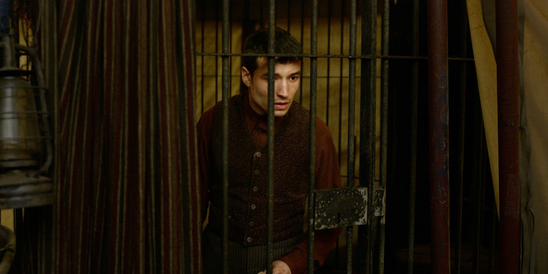 LA VERDAD SOBRE LA IDENTIDAD DE CREDENCE EN ANIMALES FANTÁSTICOS 2 - Neozix